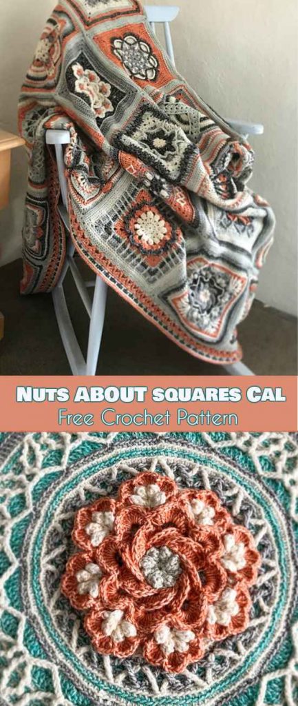 35-Square Blanket – Nuts about Squares CAL [Free Crochet Pattern ...