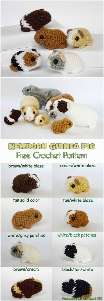 Newborn Guinea Pig Free Pattern - Your Crochet