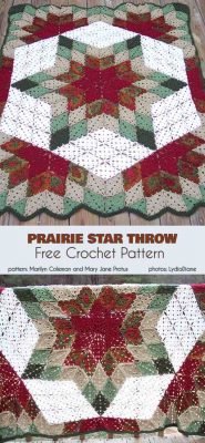 Prairie Star Throw Free Crochet Pattern - Your Crochet