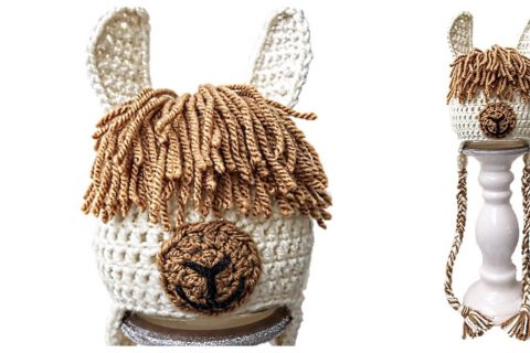 Funny Crochet Hat Free Patterns