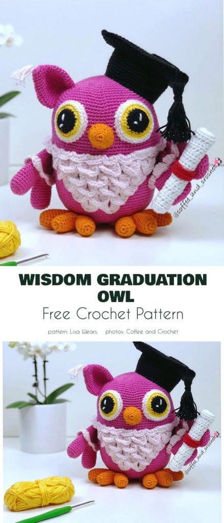 Graduation Owl Free Crochet Patterns - Your Crochet