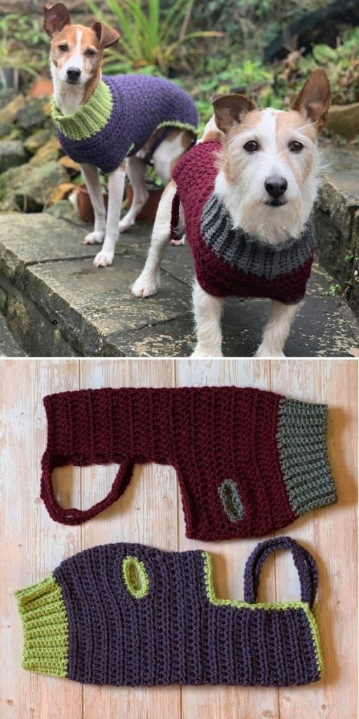 20 Best Crochet Dog Sweaters - Your Crochet