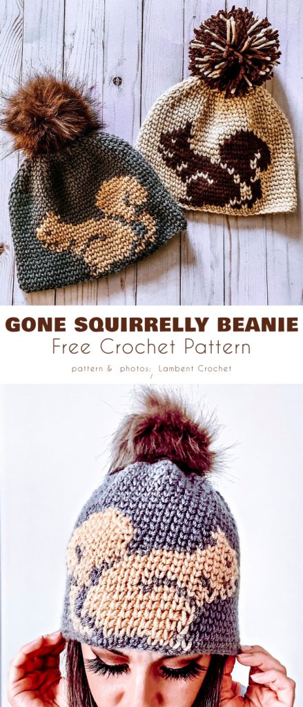 Fall Colored Beanie Free Crochet Patterns - Your Crochet